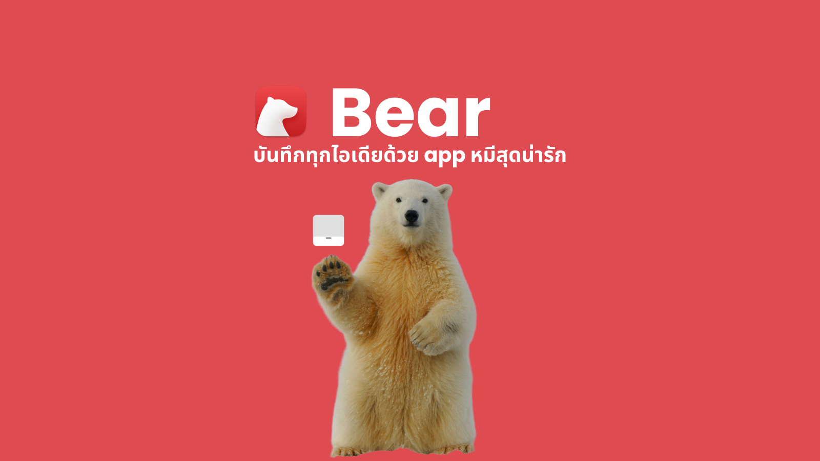 บันทึกทุกไอเดียกับ Bear App หมีสุดน่ารัก สำหรับ iOS และ Mac – Beamtan's ...